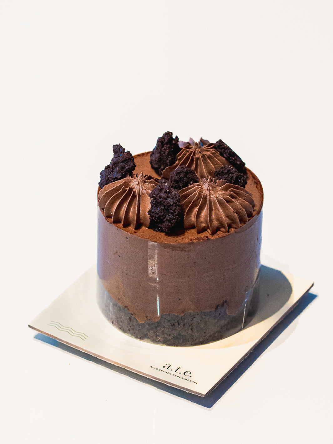 Double Chocolate Chocolate Cake – Altogether Experimental